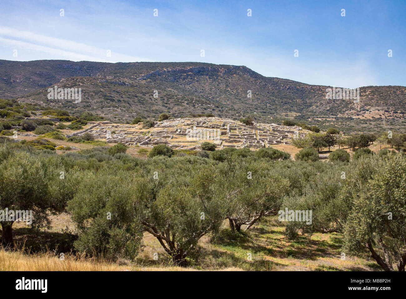 Crete landscape, green hills, mountains, blue sky, olive trees and ...