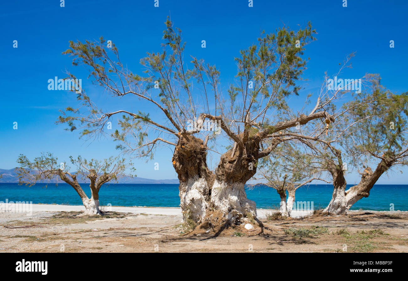 Tourist brochure crete hi-res stock photography and images - Alamy