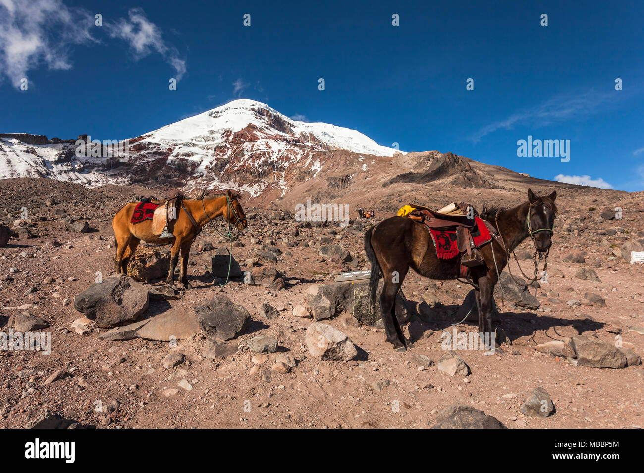Volcán chimborazo ecuador hi-res stock photography and images - Alamy
