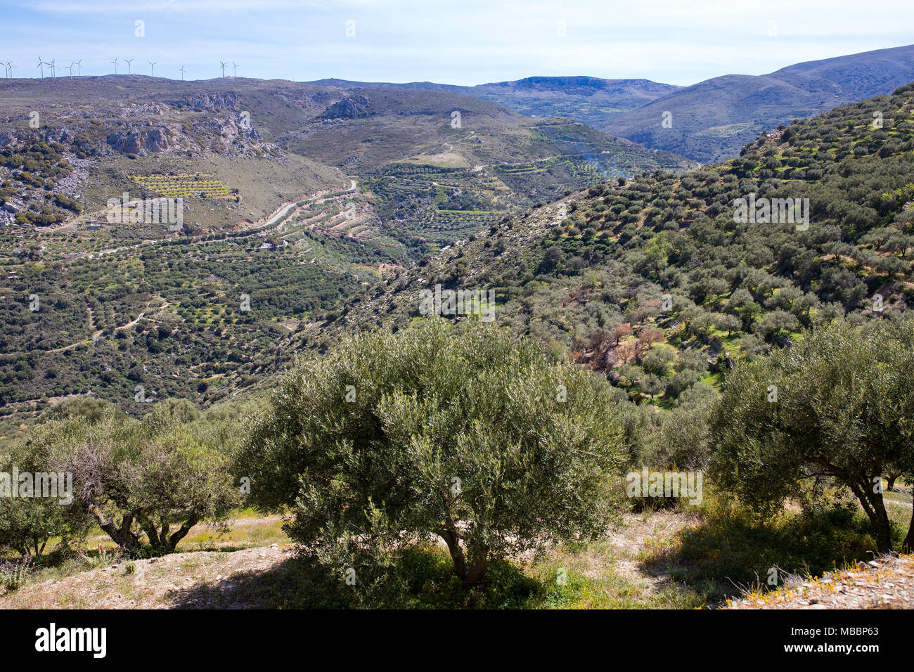 Crete landscape, green hills, mountains, blue sky, olive trees and ...