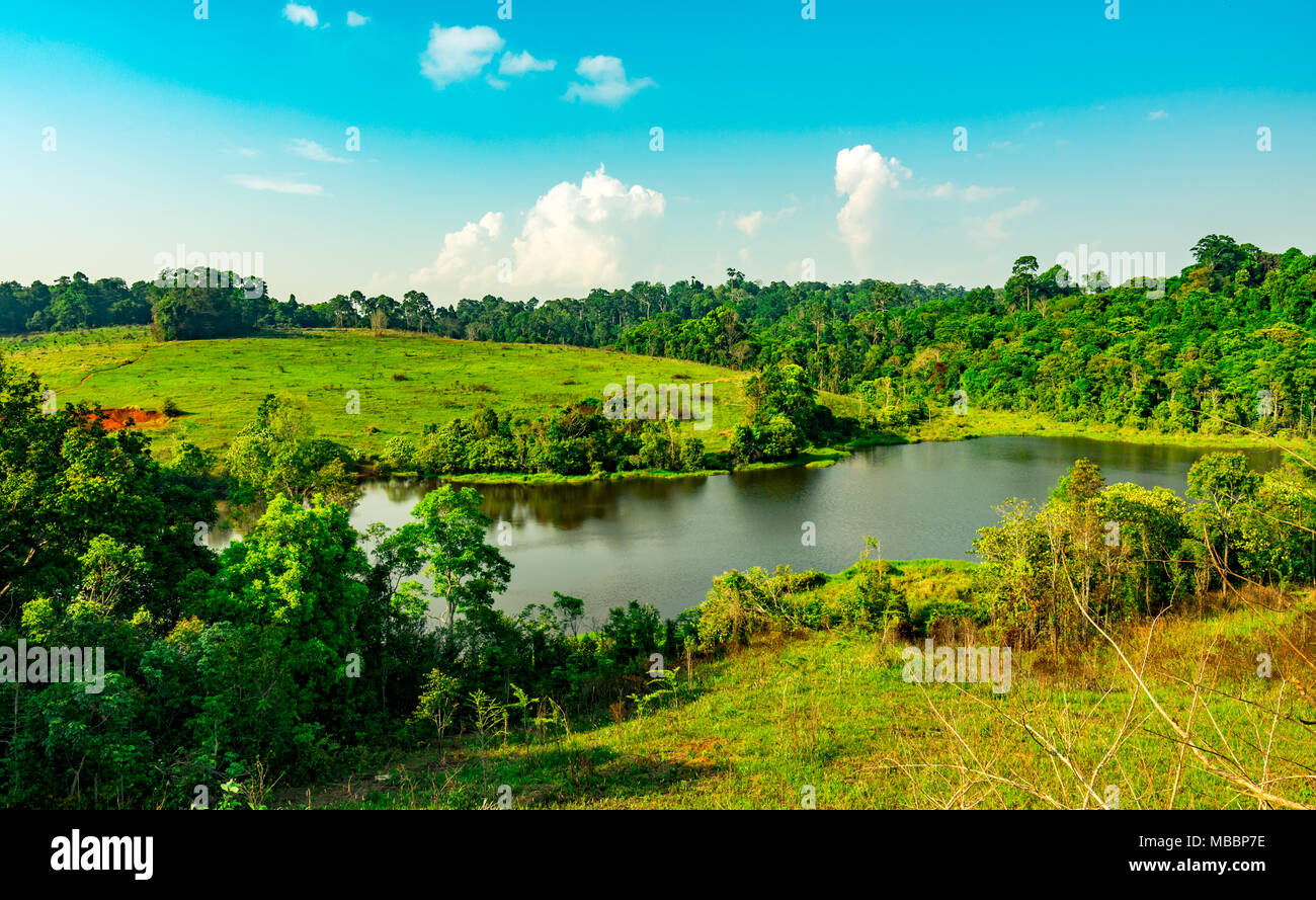 Pond and green grass field for wildlife animals and countryside road on ...