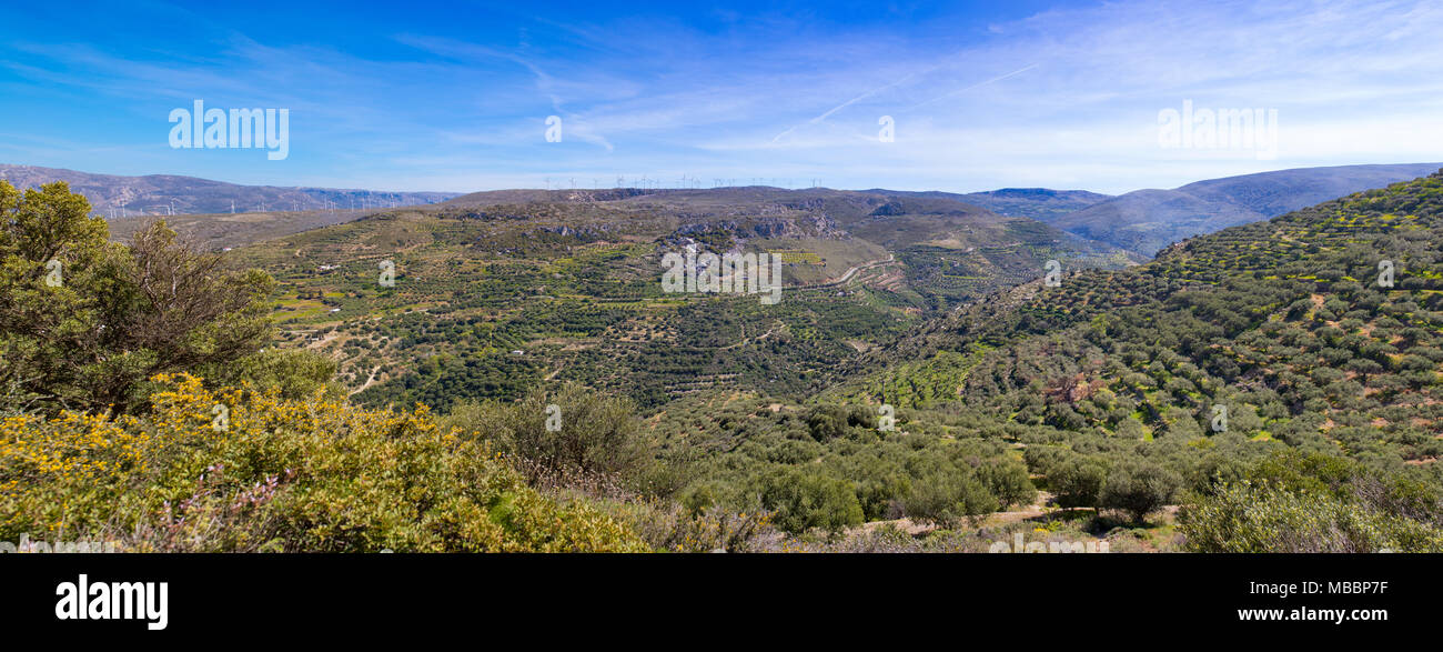 Crete landscape, green hills, mountains, blue sky, olive trees and ...