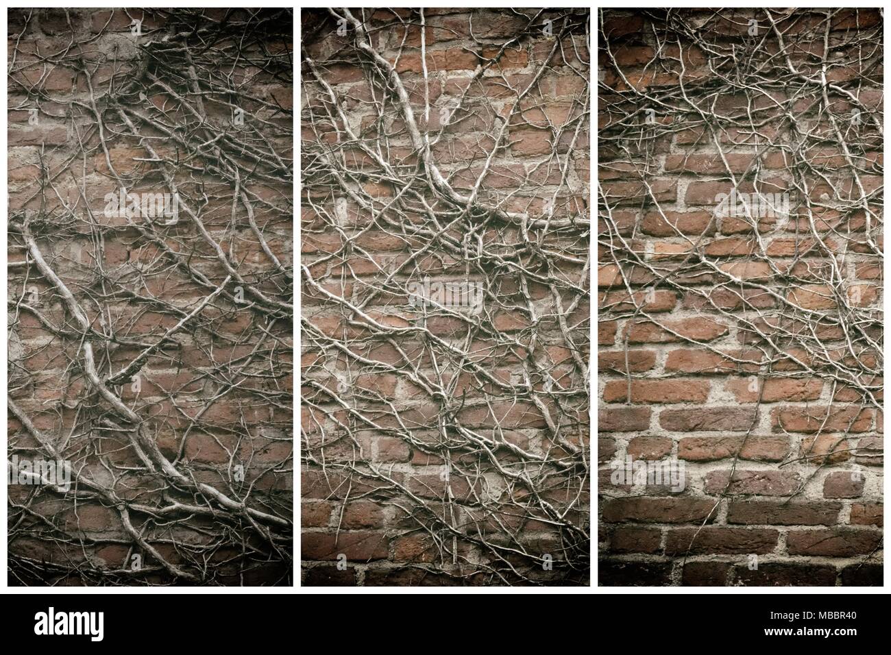 Brick wall stone background - texture for continuous rocks Stock Photo ...