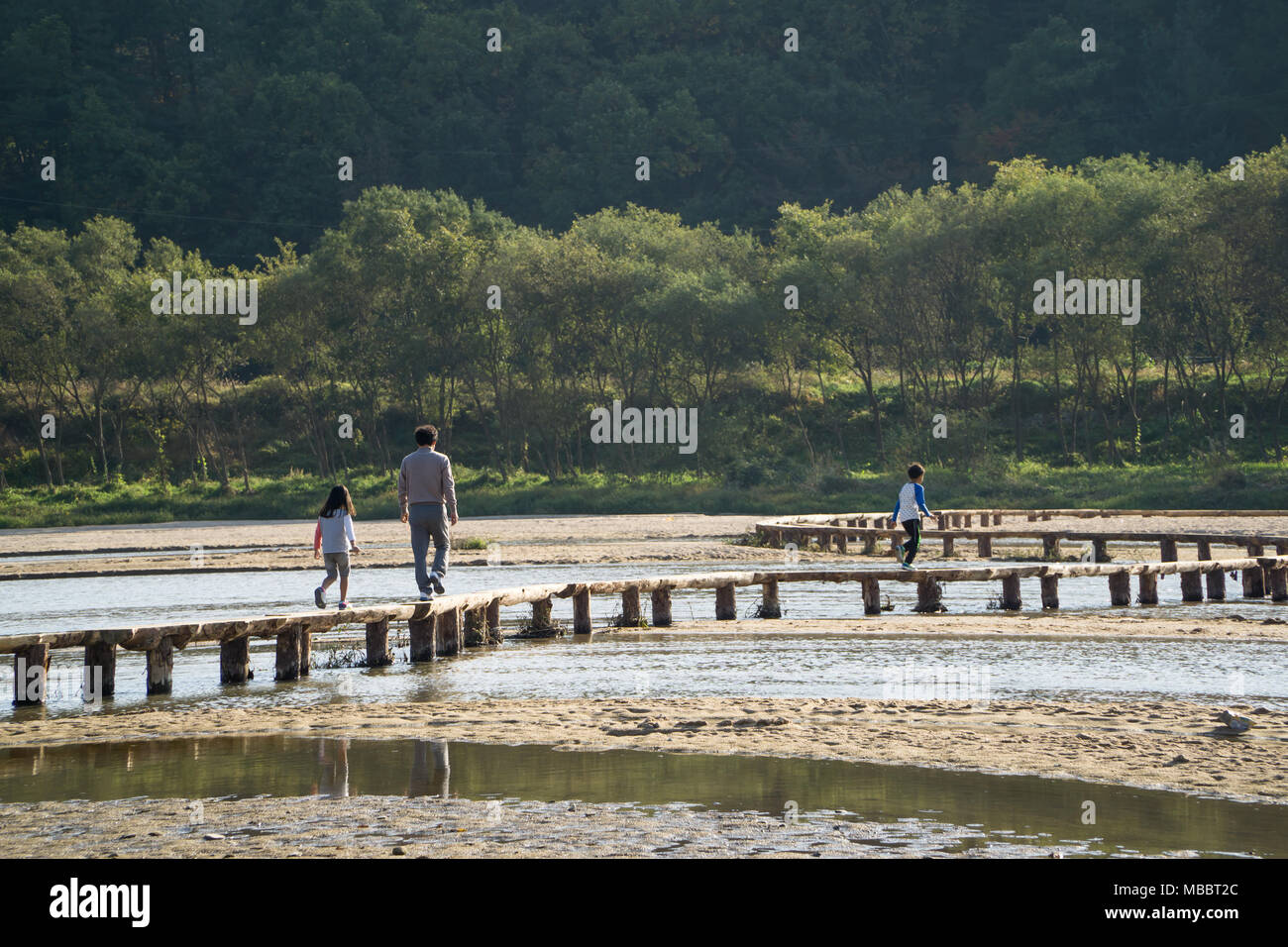 YEONGJU, KOREA - OCTOBER 15, 2014: people on a single lane log bridge ...