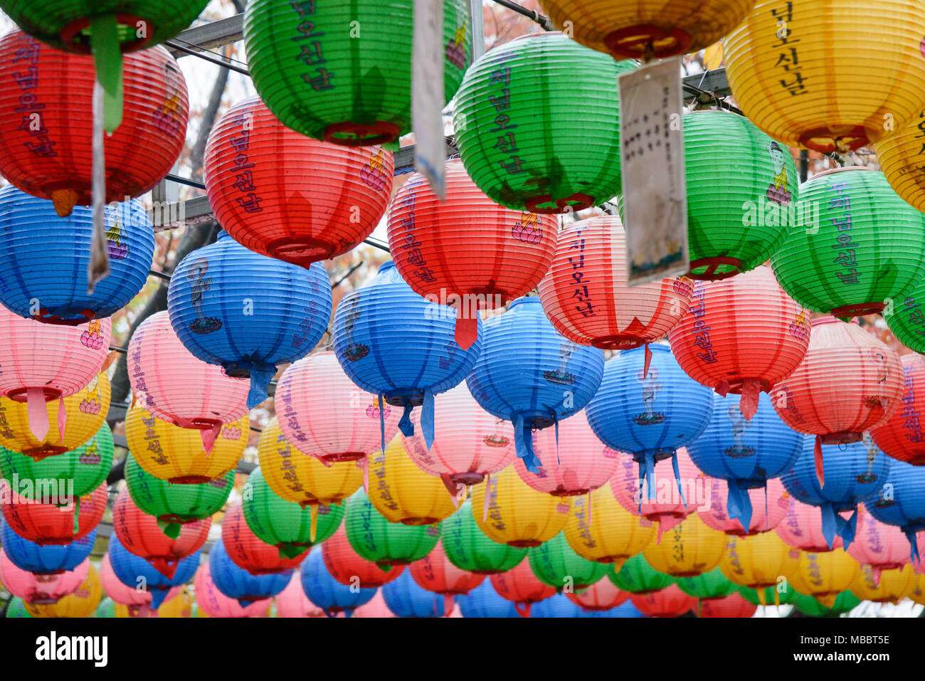 GYEONGJU, KOREA - OCTOBER 20, 2014: Light lamps for the day of Buddha's ...