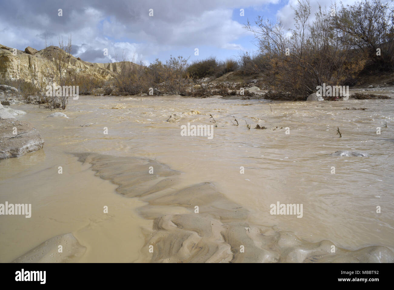 Desert flood - Negev Desert, Israel Stock Photo - Alamy