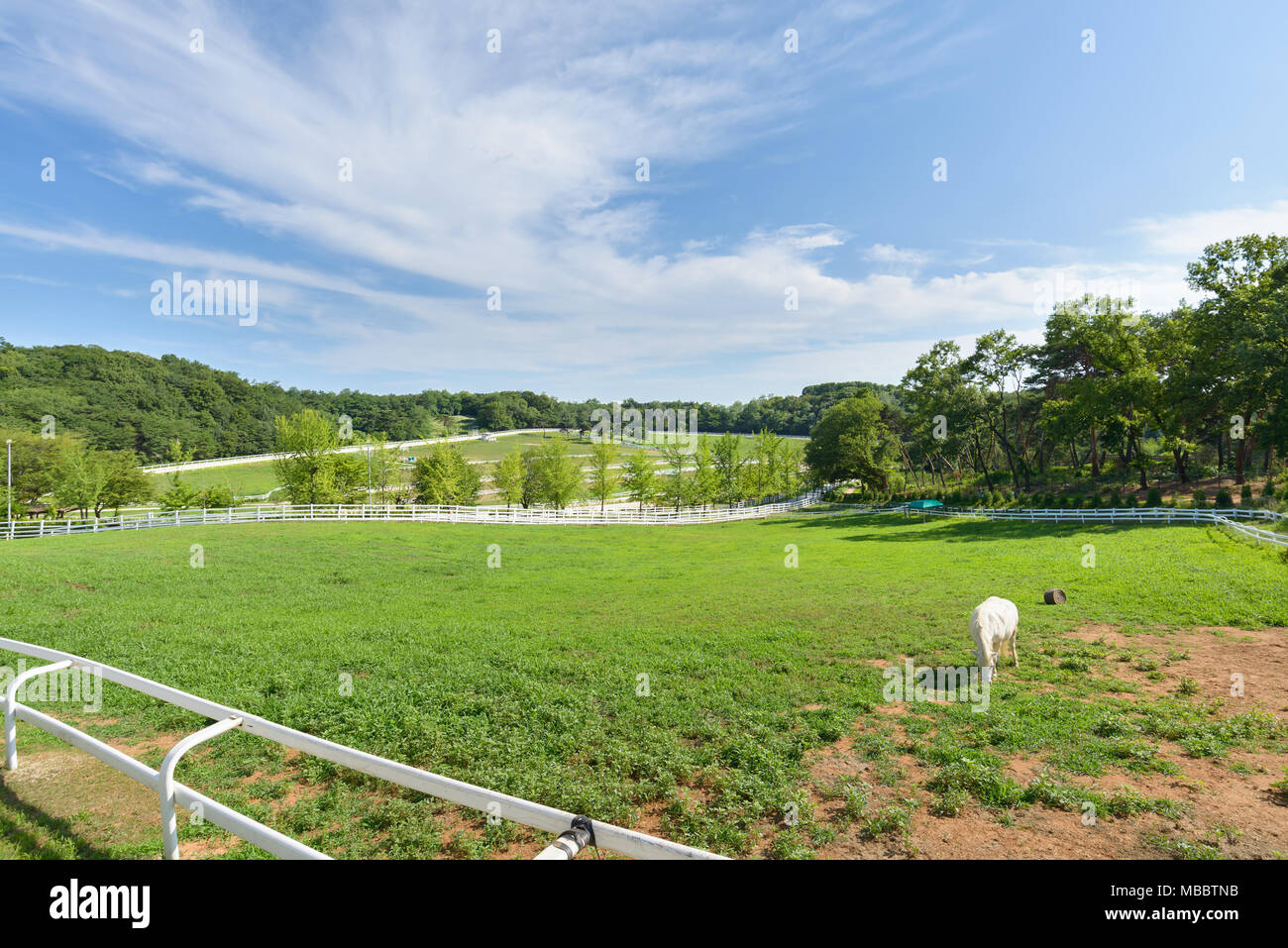 Goyang-si, Korea - July 16, 2015: Wondang horse ranch of Korea Racing ...