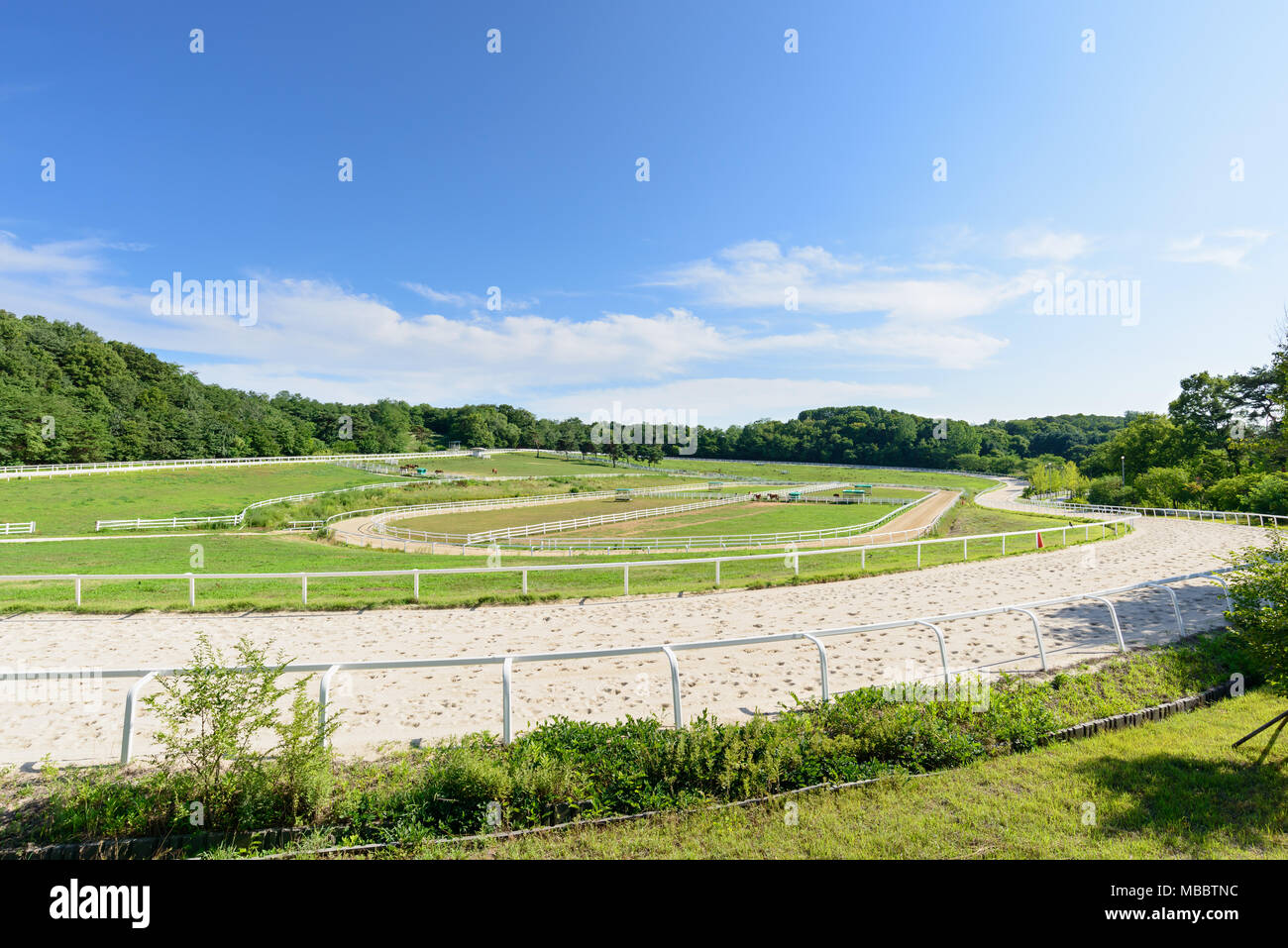 Goyang-si, Korea - July 16, 2015: Wondang horse ranch of Korea Racing ...