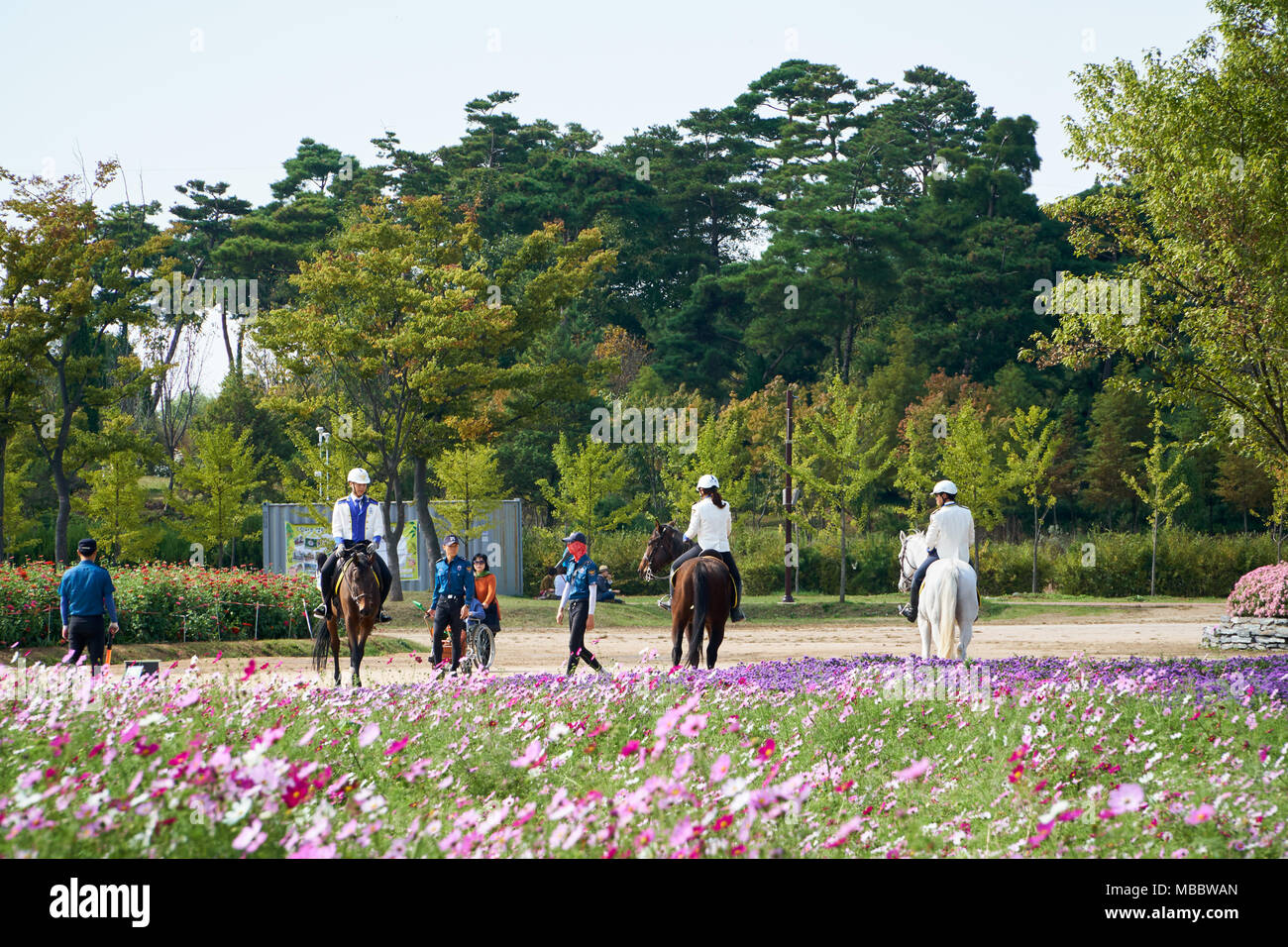 Incheon, Korea - October 8, 2016: Mounted Policemen of Korea, who are ...