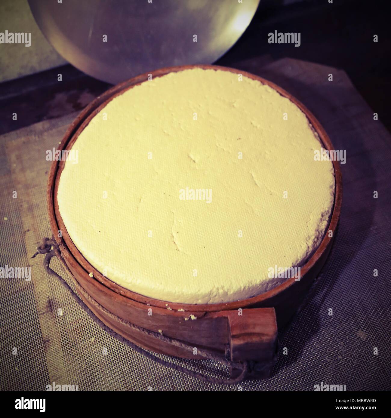 Mold and cheesemaking hi-res stock photography and images - Alamy