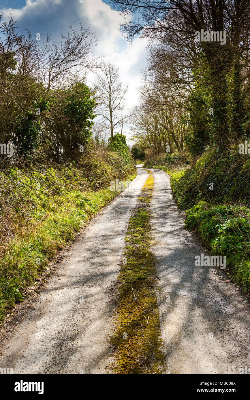 Cornish country lane hi-res stock photography and images - Alamy