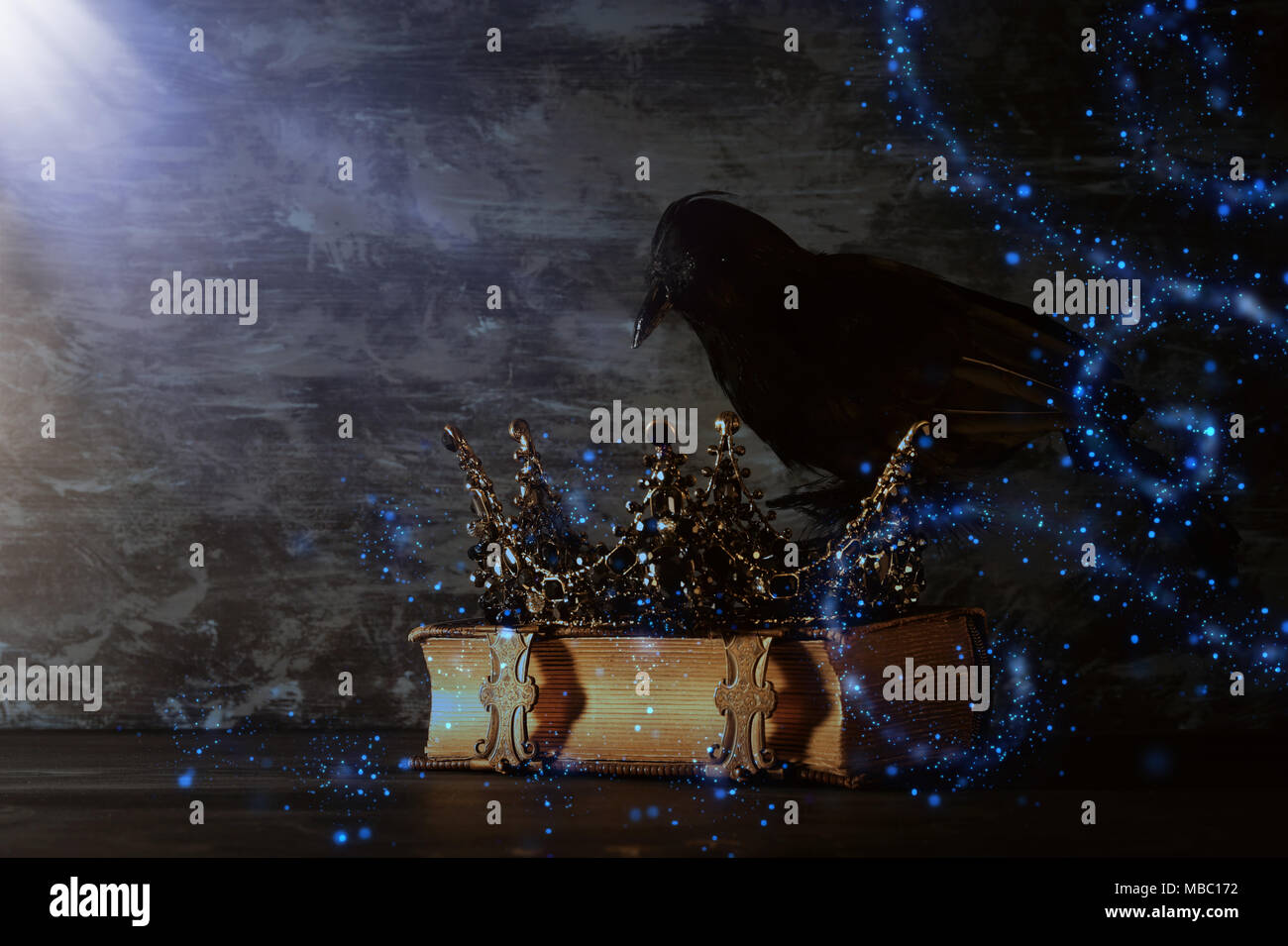 low key image of beautiful queen/king crown and black crow. fantasy ...