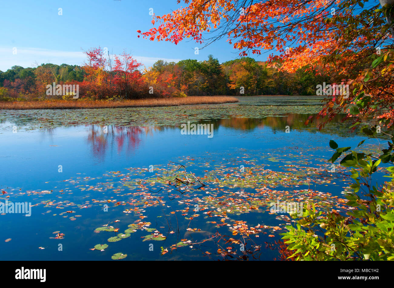 Bolton Notch Pond, Bolton Notch State Park, Connecticut Stock Photo - Alamy