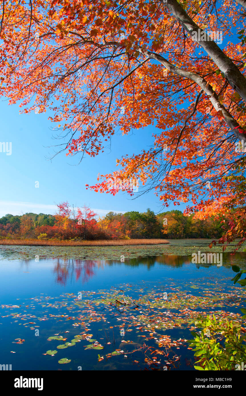 Bolton Notch Pond, Bolton Notch State Park, Connecticut Stock Photo - Alamy