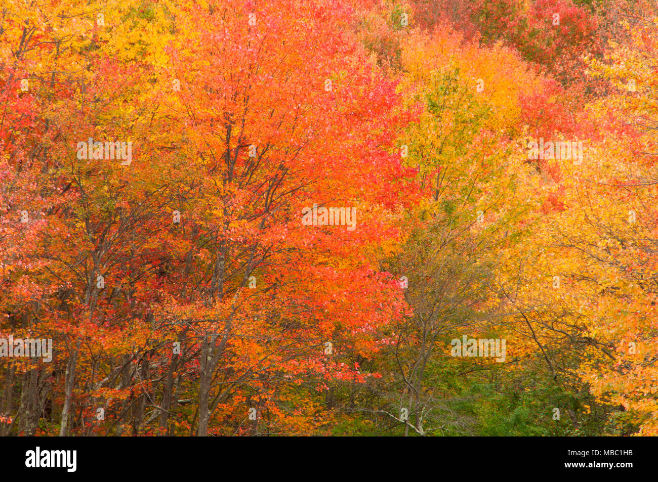 Vernon valley hi-res stock photography and images - Alamy