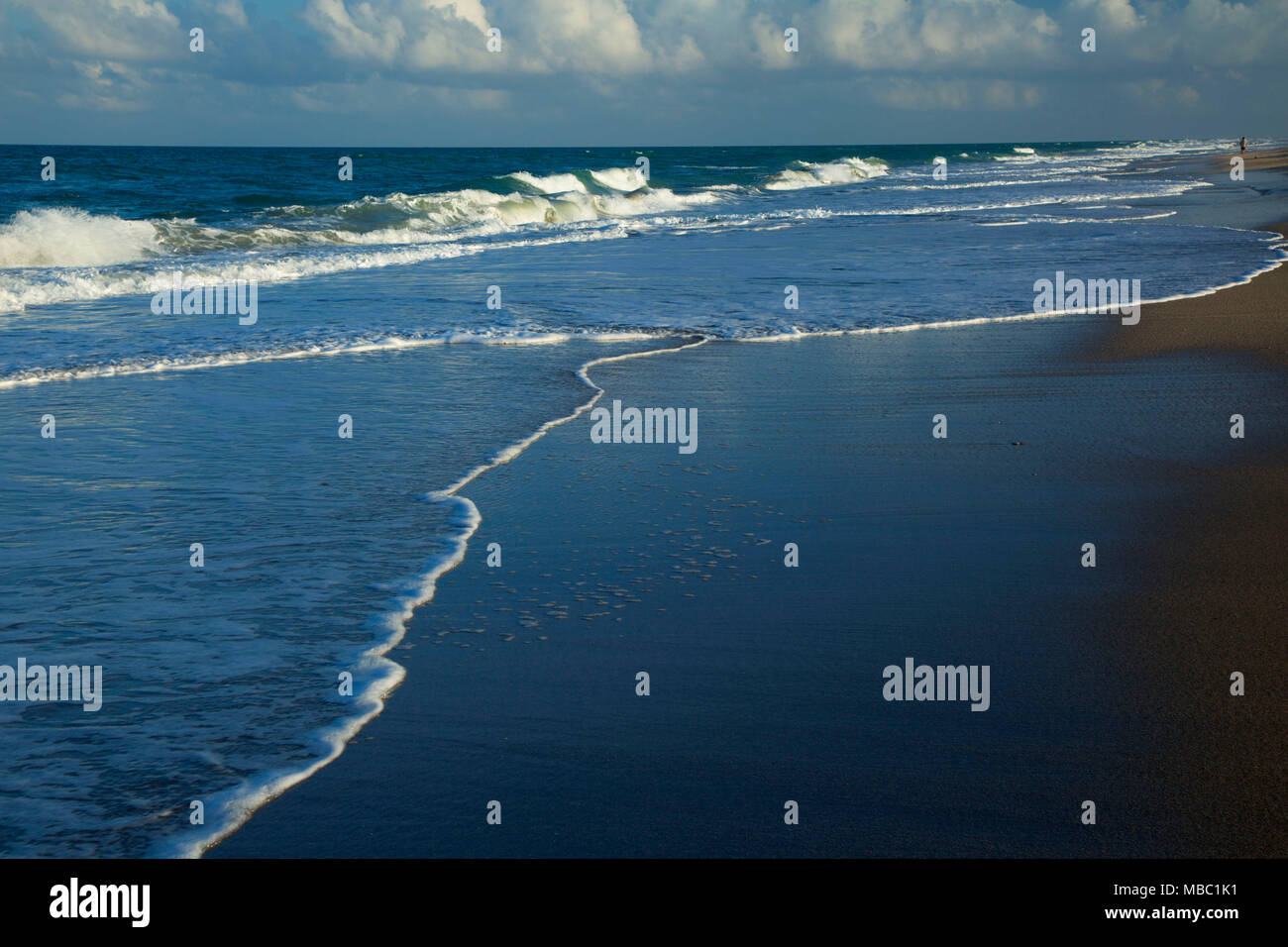 Beach surf, Hobe Sound National Wildlife Refuge, Florida Stock Photo ...