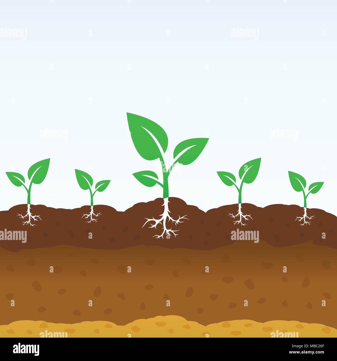 Dirt ground Stock Vector Images - Alamy
