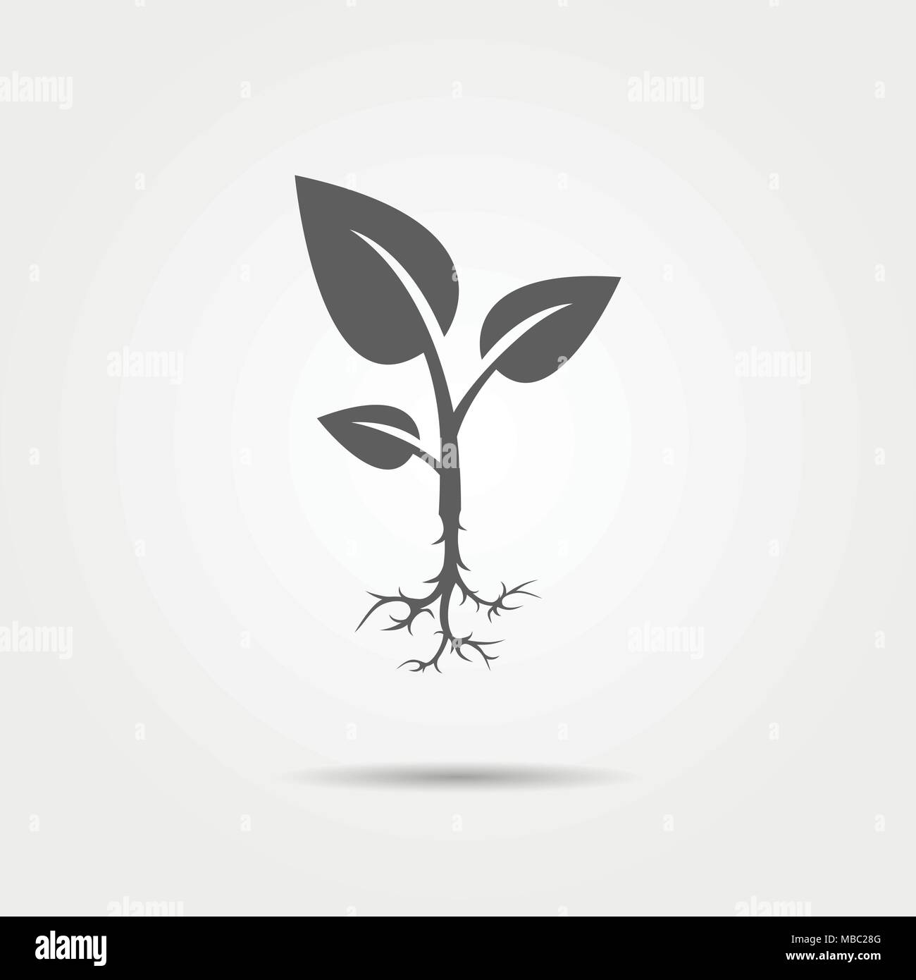 Sprout Vector Vectors High Resolution Stock Photography and Images - Alamy