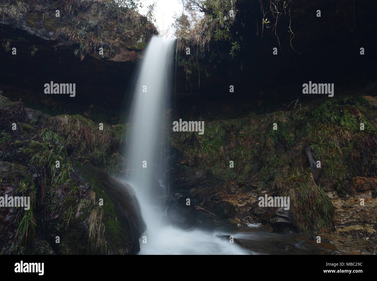 Yad Waterfall Maspie Den Falkland Fife Scotland April 2018 Stock Photo ...