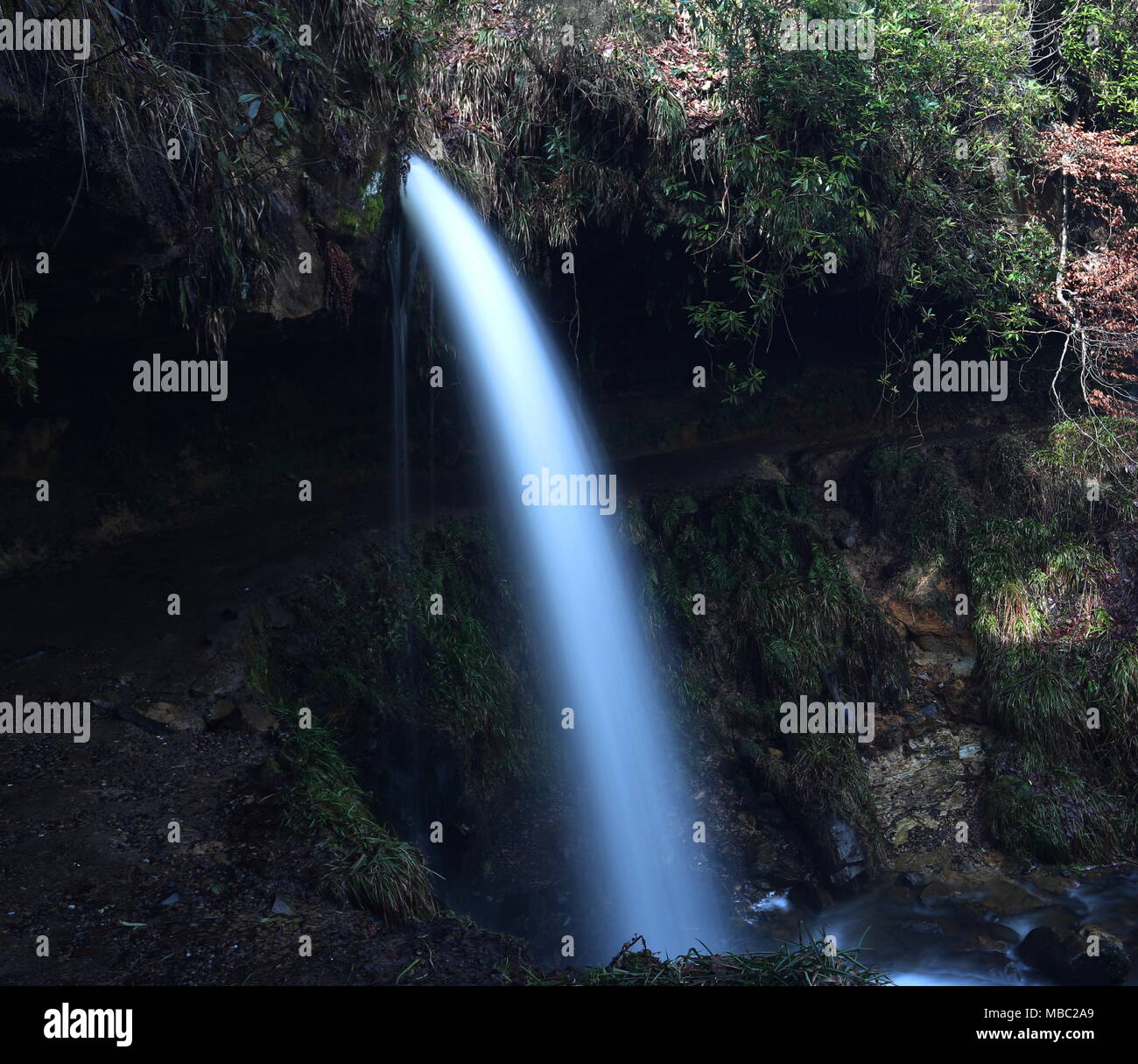 Yad Waterfall Maspie Den Falkland Fife Scotland April 2018 Stock Photo ...