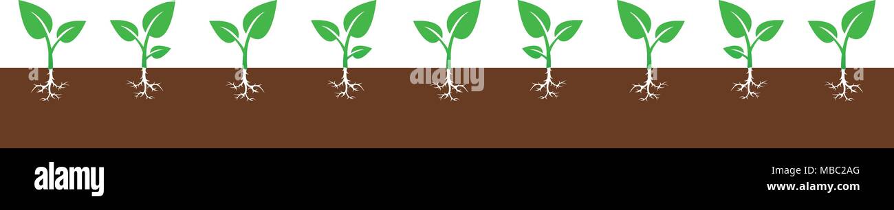 Vector background with growing sprouts Stock Vector Image & Art - Alamy