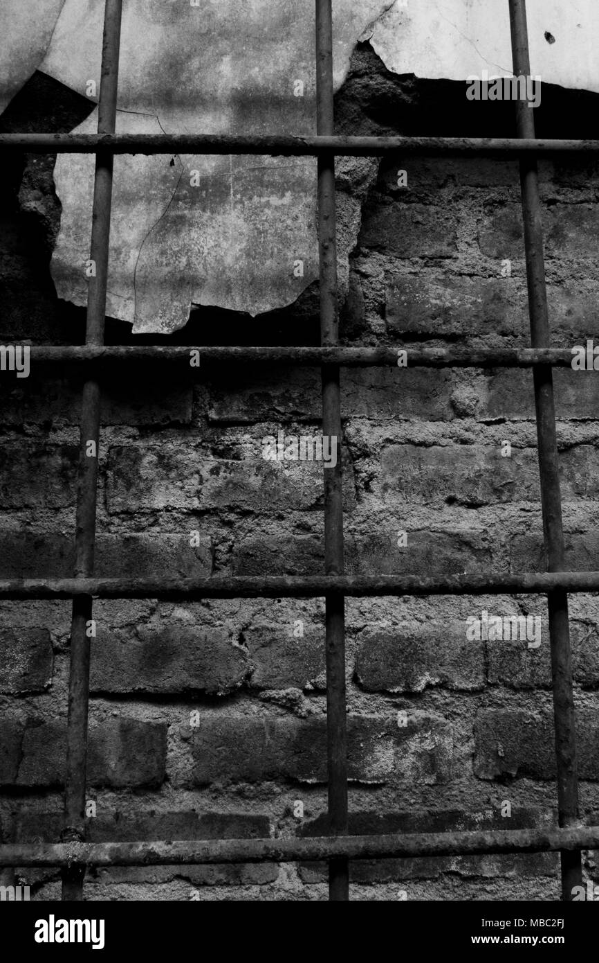 Broken trellis hi-res stock photography and images - Alamy