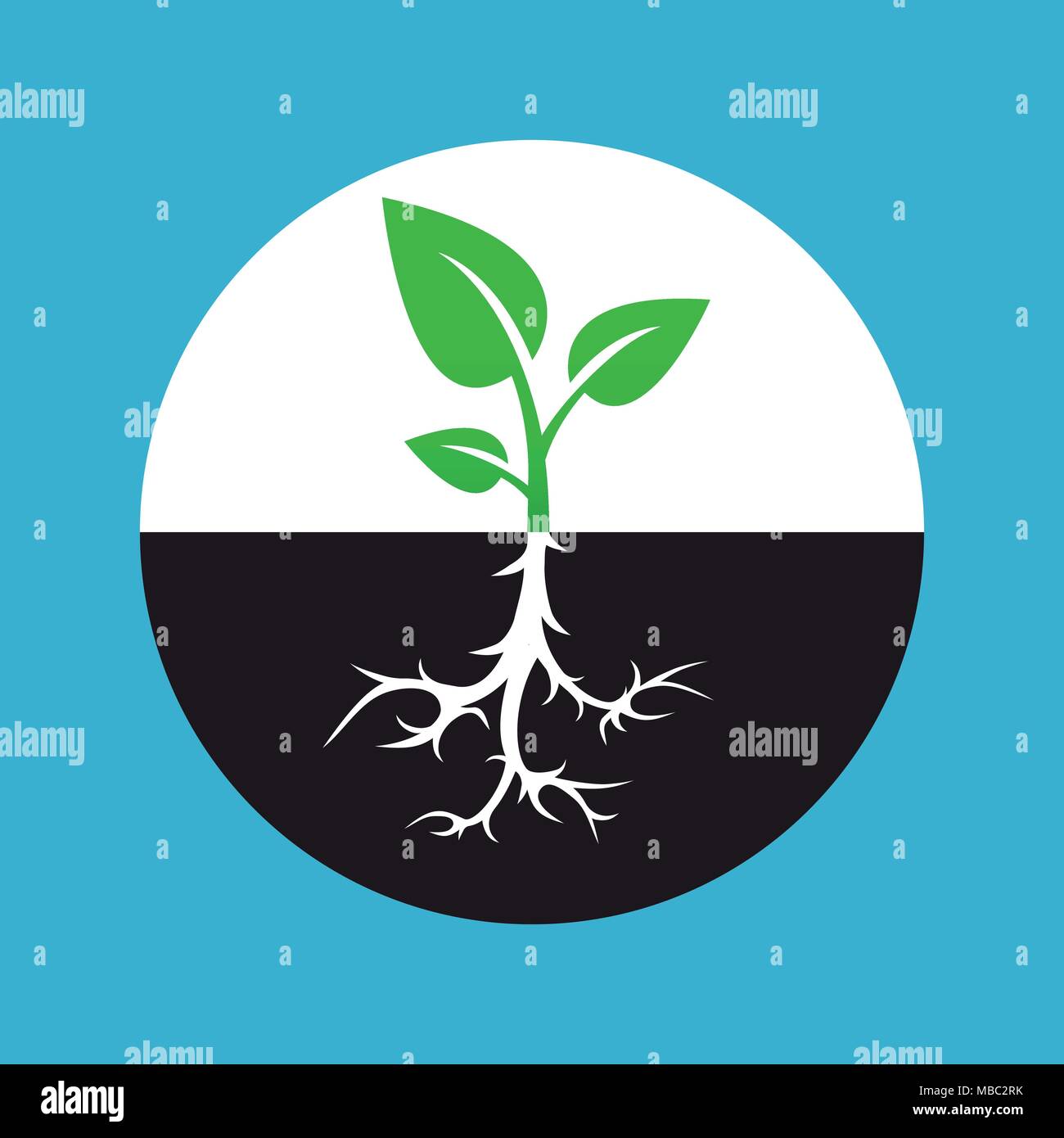 Root development Stock Vector Images - Alamy