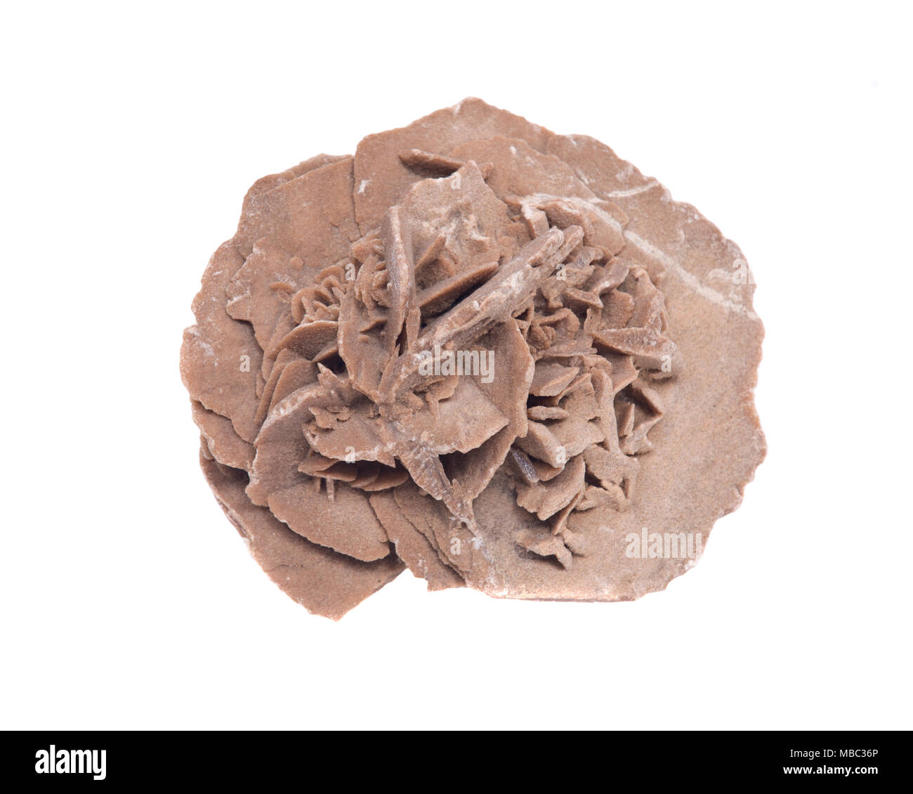Gypsum desert sand rose isolated on white background Stock Photo - Alamy