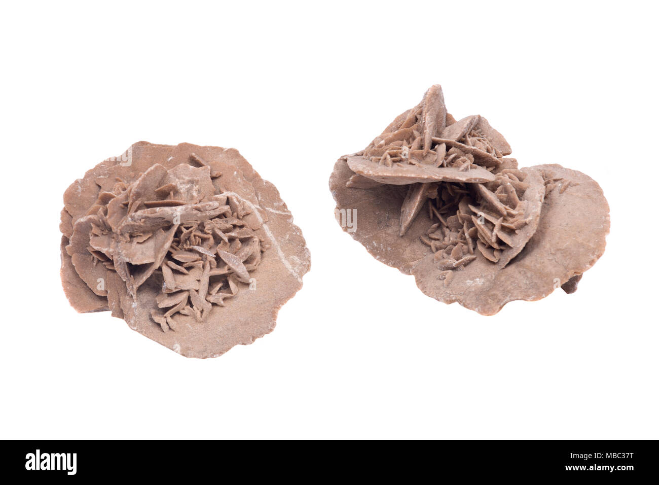 Gypsum desert sand rose isolated on white background Stock Photo - Alamy