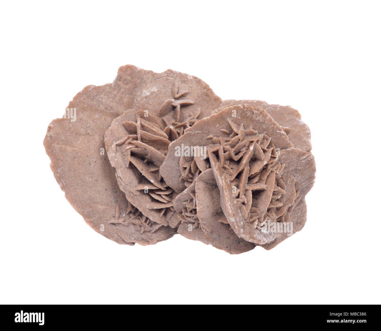Gypsum desert sand rose isolated on white background Stock Photo - Alamy