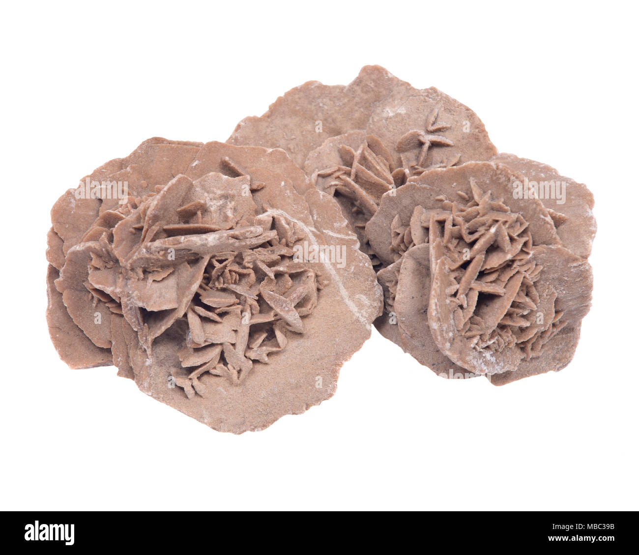 Gypsum desert sand rose isolated on white background Stock Photo - Alamy