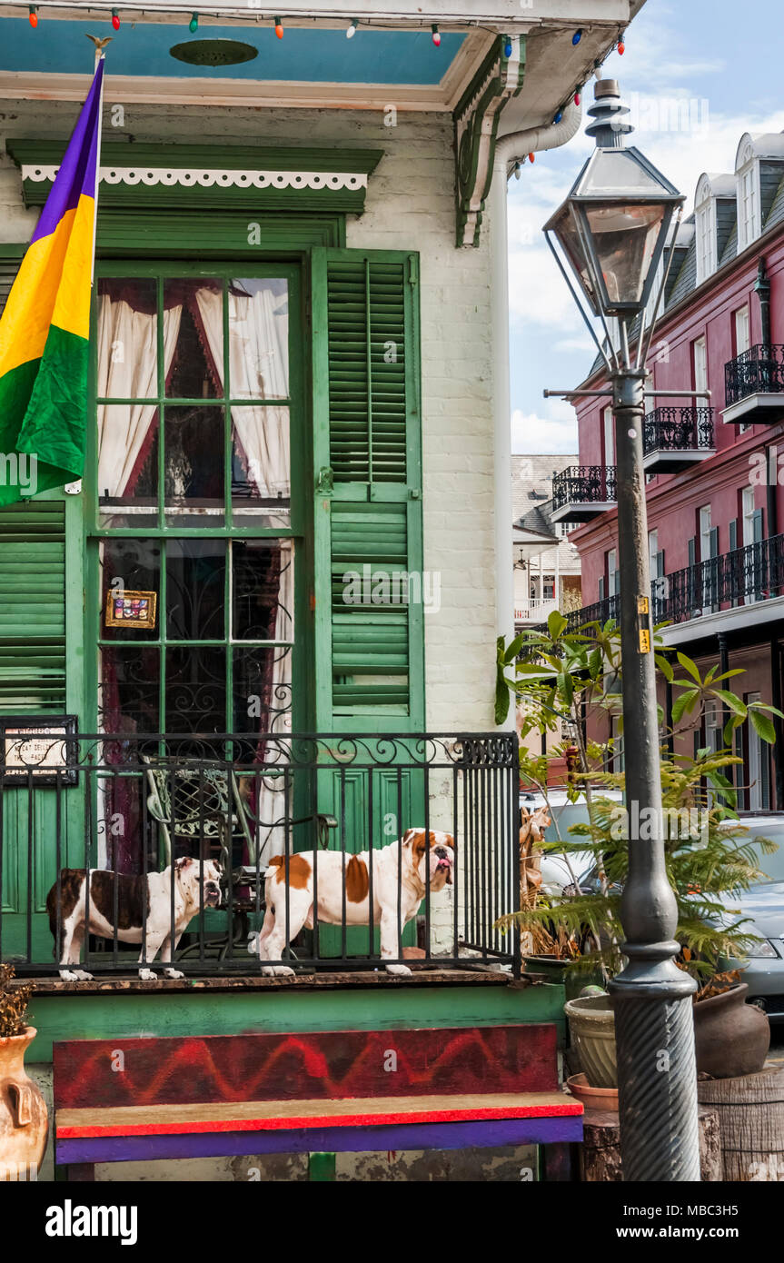 Funky house hi-res stock photography and images - Alamy