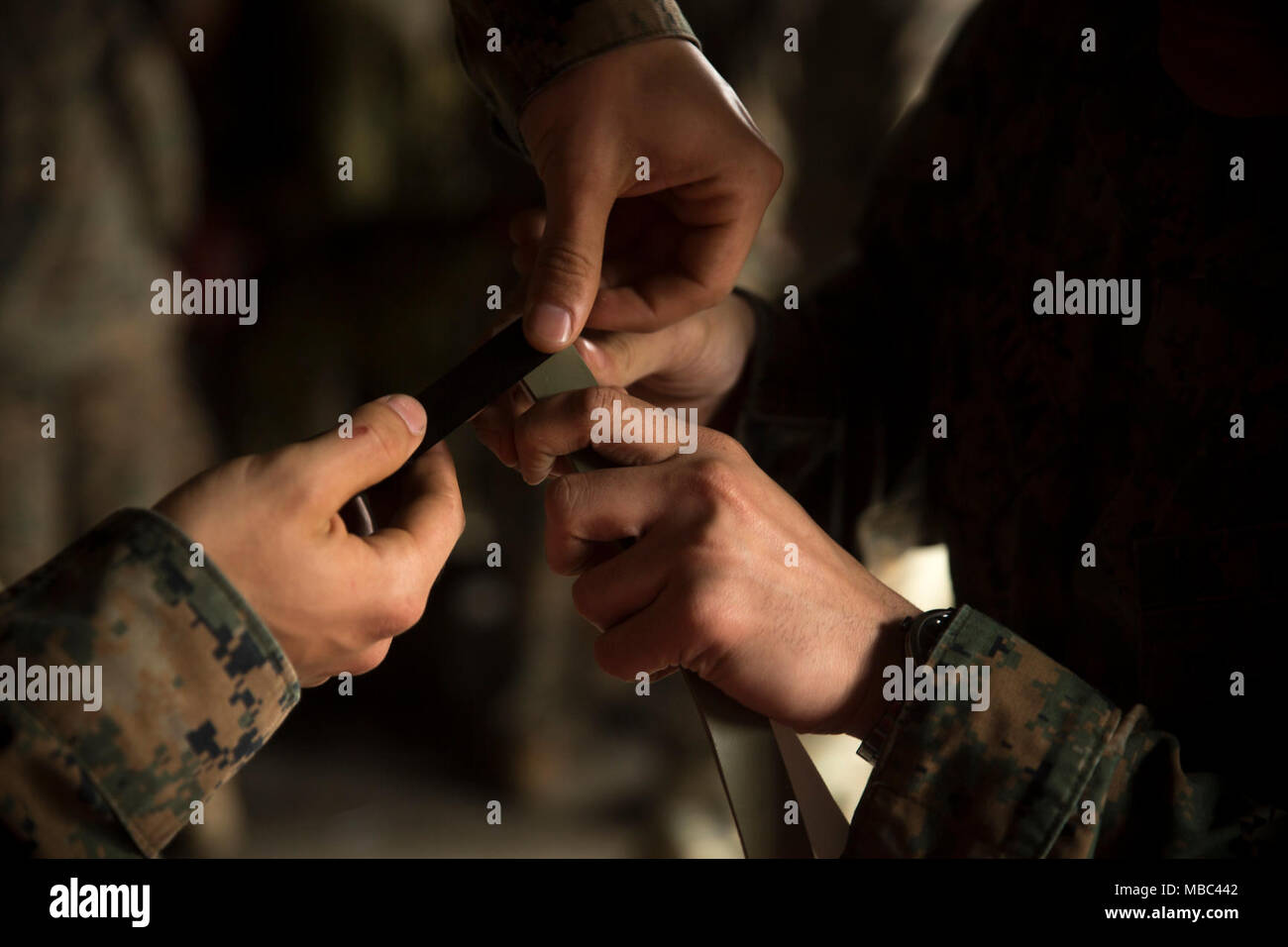 2nd reconnaissance battalion hi-res stock photography and images - Alamy