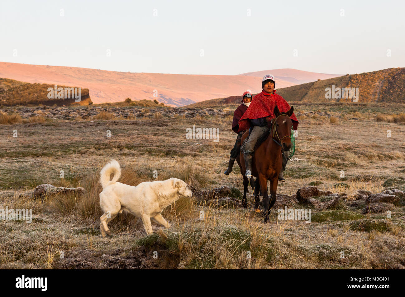 Aboriginal cowboys hi-res stock photography and images - Alamy