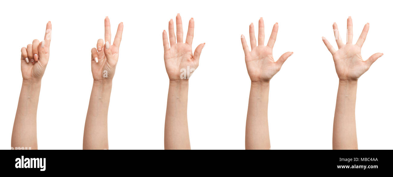 Two pointing hands hand gesture hi-res stock photography and images - Alamy