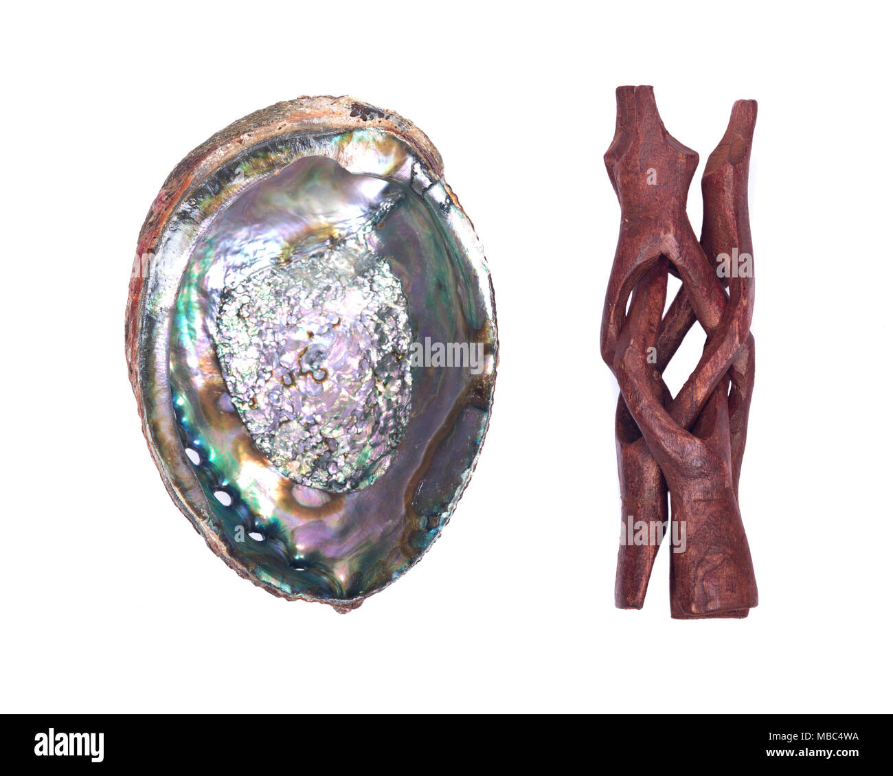 Bright polished rainbow abalone shell on wooden cobra stand isolated on white background Stock ...