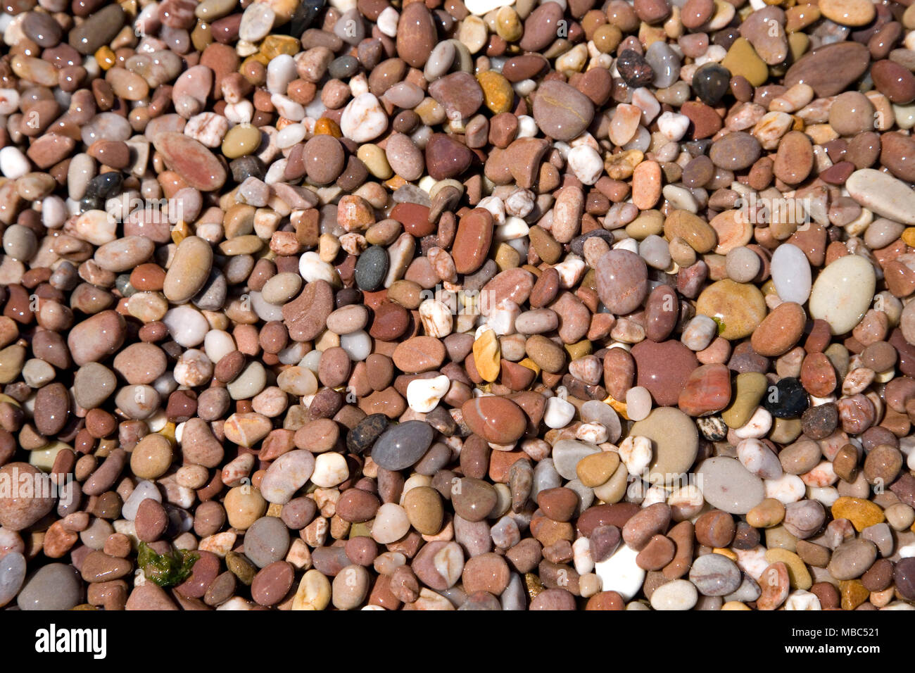 Wet reddish pebbles on the beach, England, Great Britain Stock Photo ...