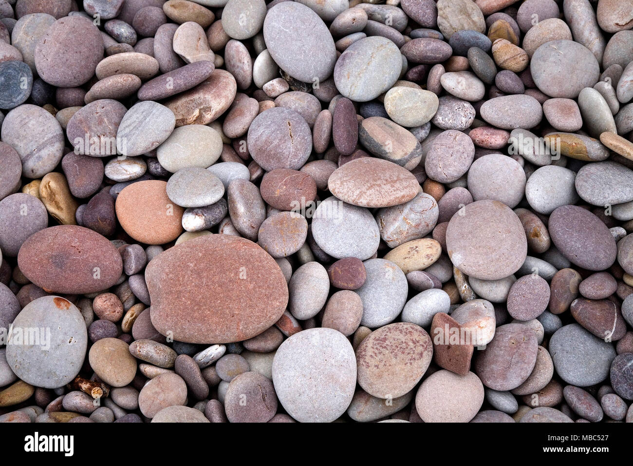 Reddish pebbles on the beach, England, Great Britain Stock Photo - Alamy