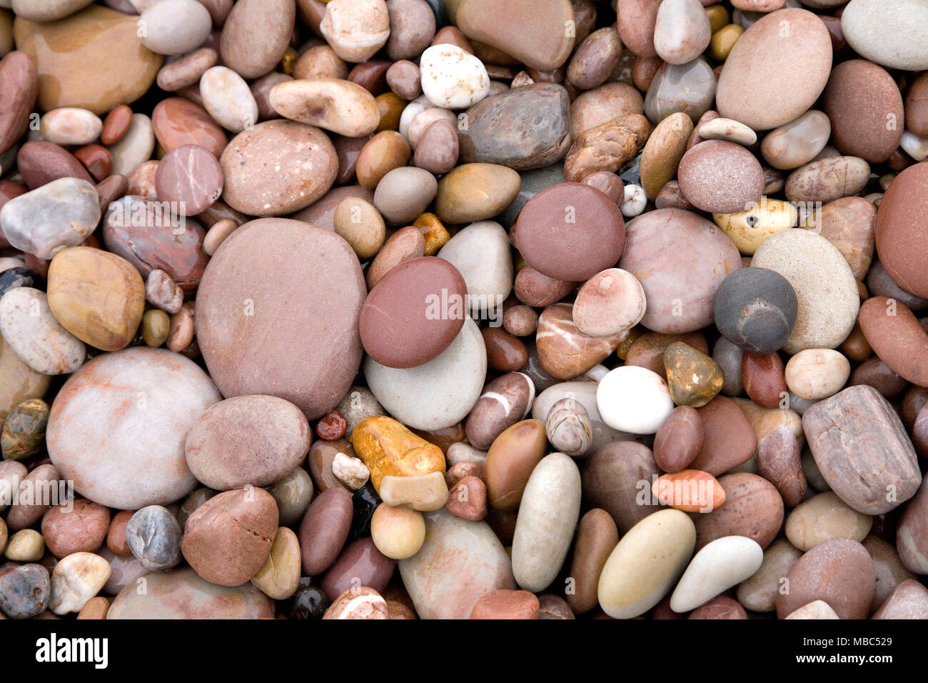 Reddish pebbles on the beach, England, Great Britain Stock Photo - Alamy
