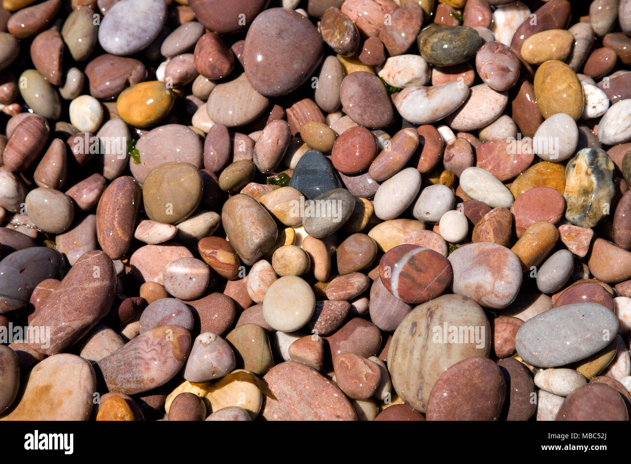 Wet reddish pebbles on the beach, England, Great Britain Stock Photo ...