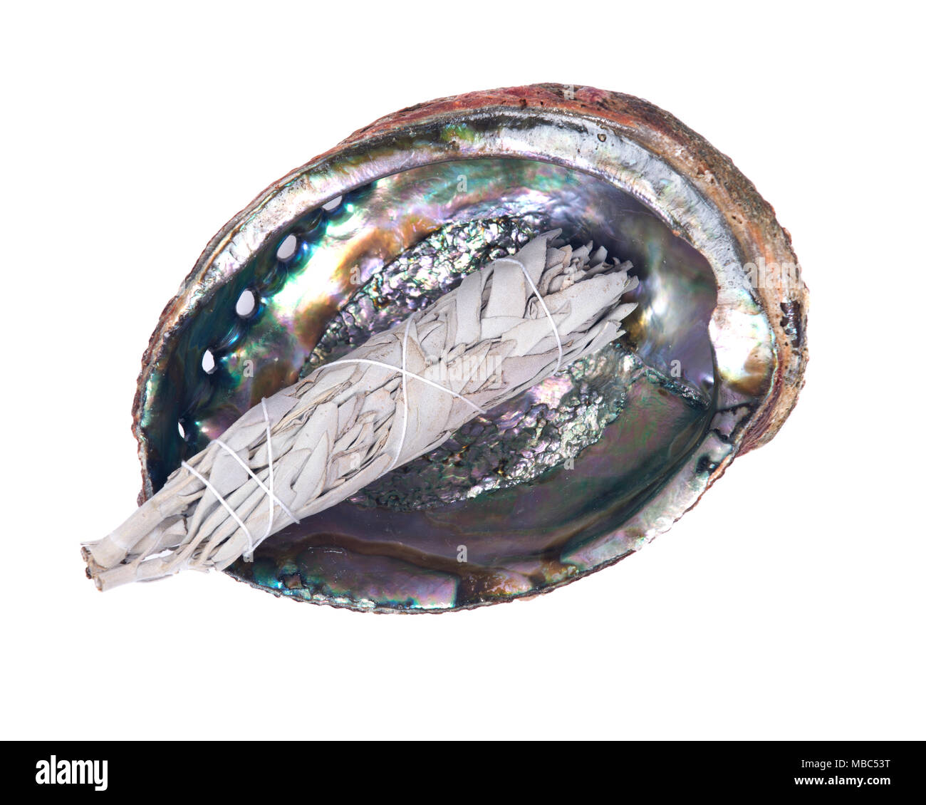 Pearl sage hi-res stock photography and images - Alamy