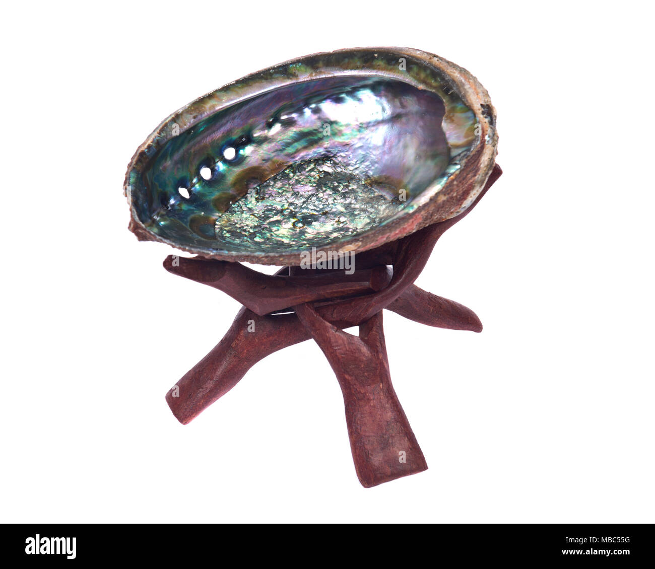 Bright polished rainbow abalone shell on wooden cobra stand isolated on ...
