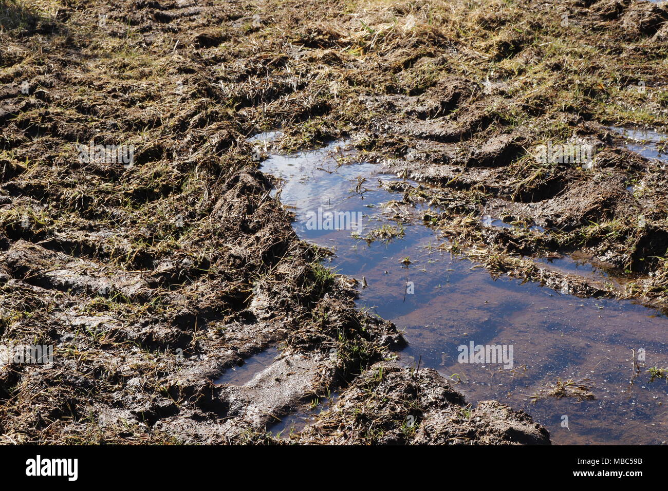 Textures (trye tracks, tire tracks, mud, puddle Stock Photo - Alamy