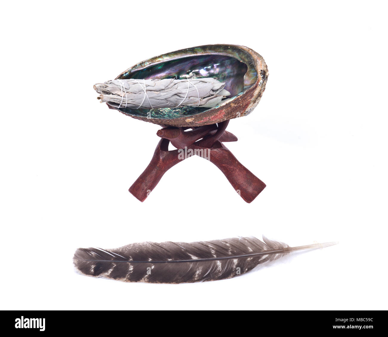 Sage smudge stick, bright polished rainbow abalone shell and grade A barred turkey smudging ...