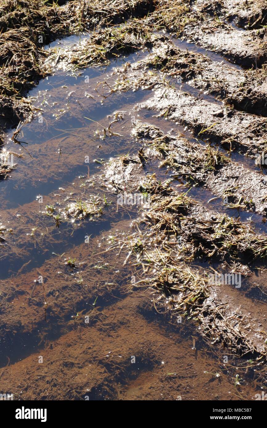 Textures (trye tracks, tire tracks, mud, puddle Stock Photo - Alamy