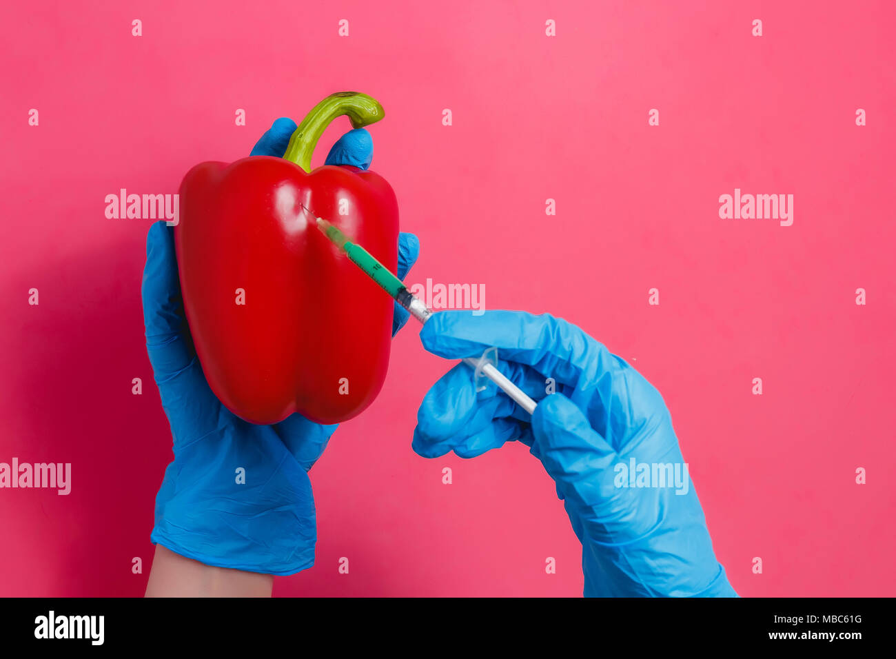 GMO Scientist Injecting Green Liquid from Syringe into Red Pepper ...