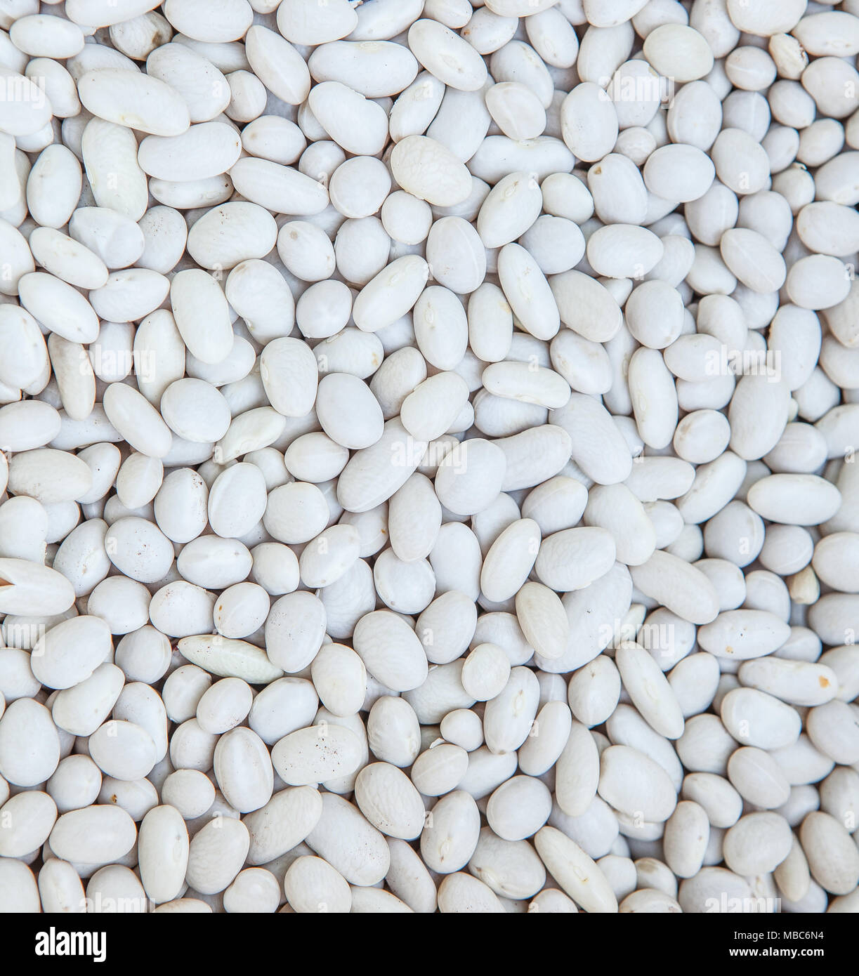 Great Northern Beans texture background. Also called white kidney beans ...