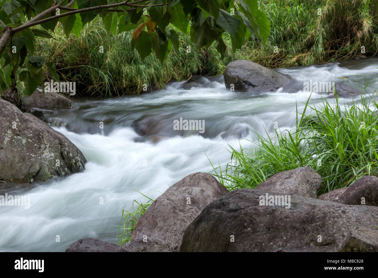 The Caldera River flows from the hills down towards Boquete, Panama, in ...