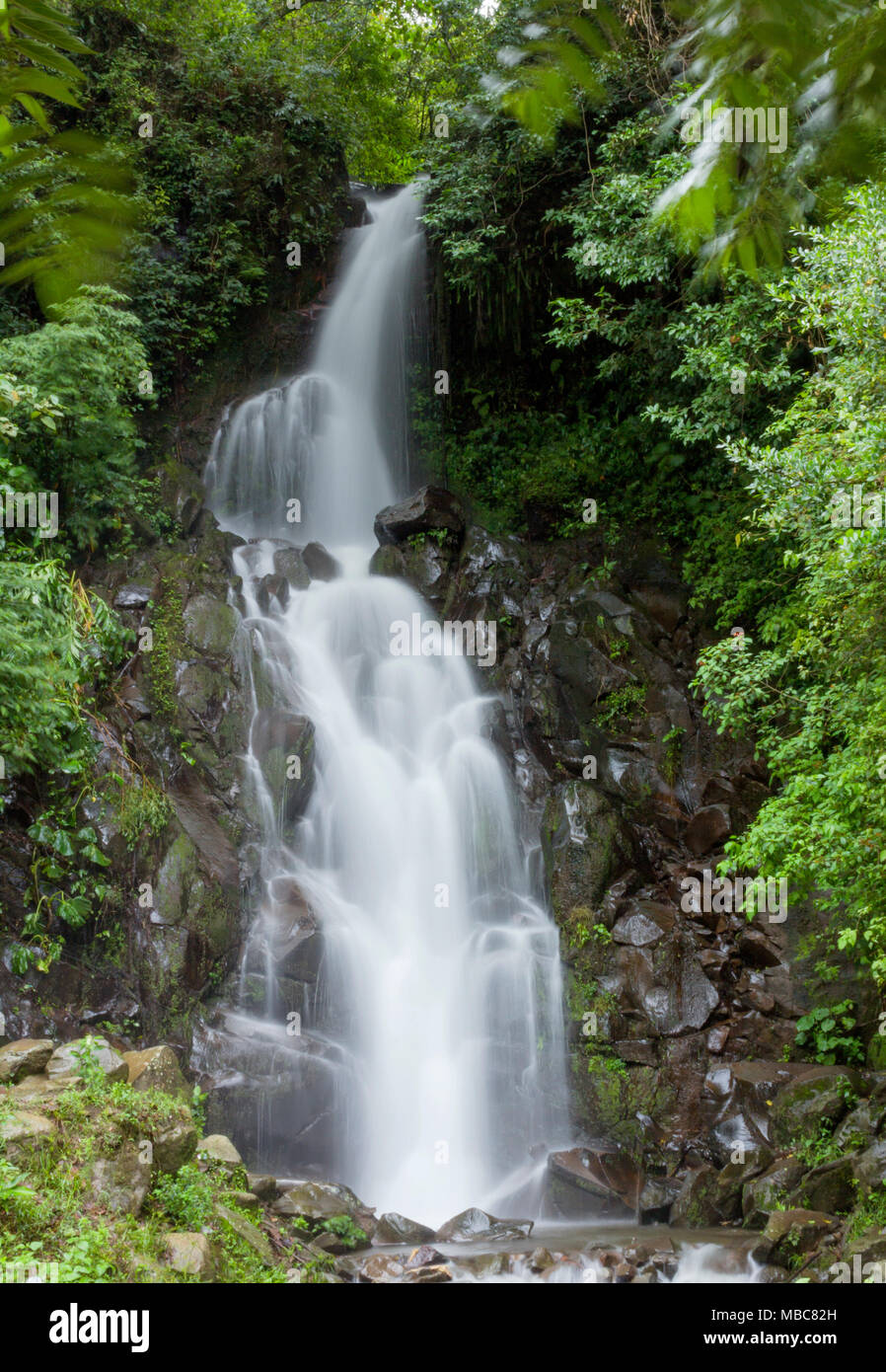 San Ramon Falls, a waterfall above Boquete, Panama, after a heavy ...