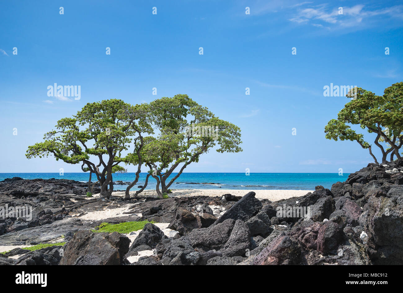 Tropical beach with lava rocks against blue sky in Kikaua Point Park ...
